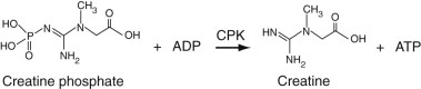 Creatine Kinase (CK, CPK), CK-MB 측정과 횡문근융해증 : 네이버 블로그