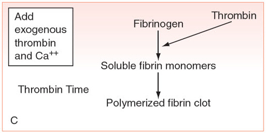 혈액응고검사-출혈질환 선별검사 : PT, APTT, TT : 네이버 블로그