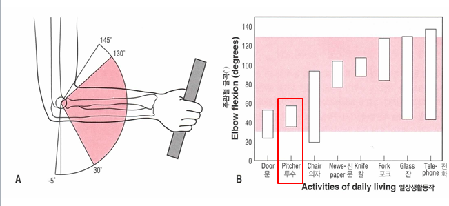 Elbow extension & flexion 에대한 기능적 고려사항 : 네이버 블로그