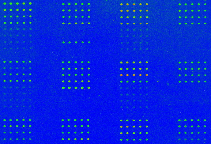 [ArrayIt] SuperNitro Substrate Slides - 코아사이언스 : 네이버 블로그