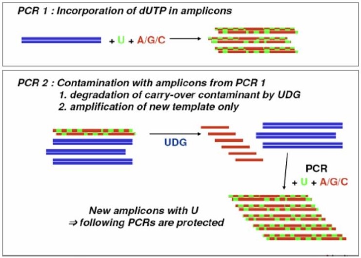 Real-time PCR - 기본에서 실전까지 chapter #4 : 네이버 블로그