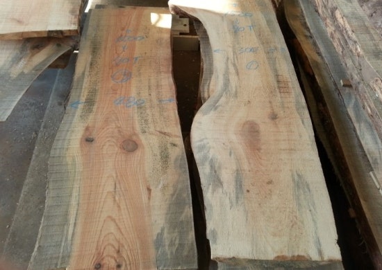 소나무의 종류(육송,금강송,리기다소나무) : 네이버 블로그