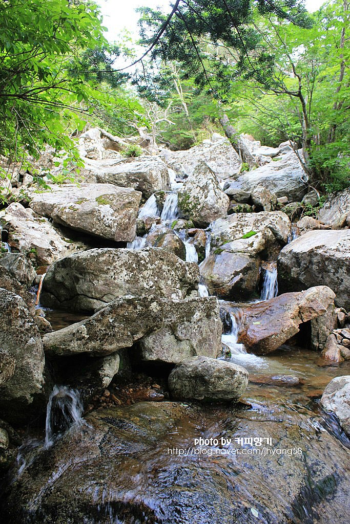 지리산 코스 - 6 - 지리산 남부능선 : 네이버 블로그