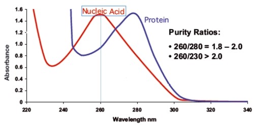 DNA 농도(Concentration) 및 순도(Purity) 측정 : 네이버 블로그