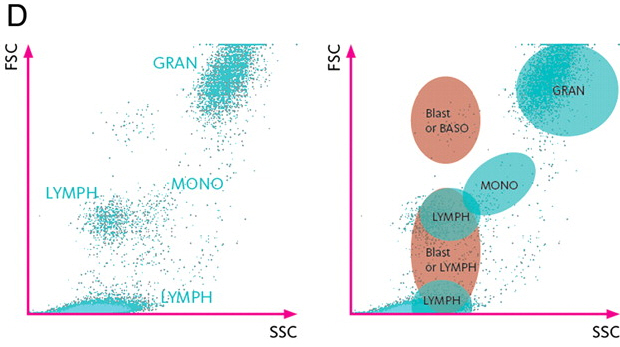 자동혈액분석기 Sysmex XN-Series -시스멕 코리아 : 네이버 블로그