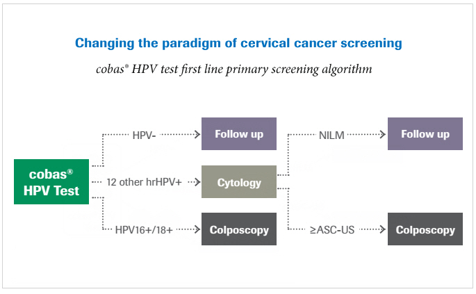 인유두종바이러스 분자진단(HPV DNA) -자궁경부암 : 네이버 블로그