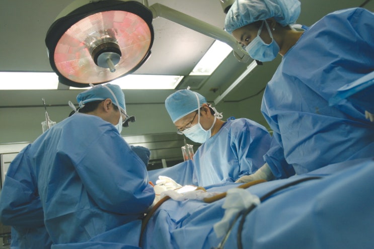 동맥혈가스분석 (Arterial Blood Gas Analysis, ABGA) : 네이버 블로그