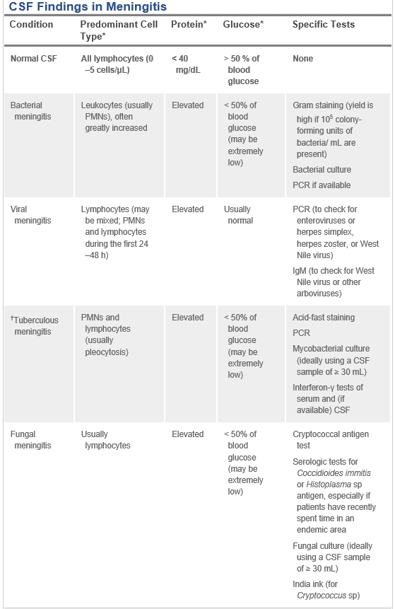 bacterial meningitis(세균 수막염) : 네이버 블로그