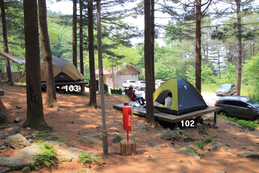청태산자연휴양림 야영데크 예약방법이용요금시설현황 네이버 블로그