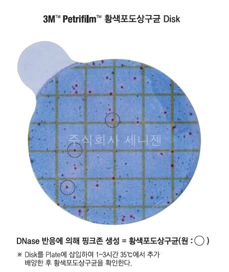 3m 페트리필름 황색포도상구균 페트리필름 요약 네이버 블로그