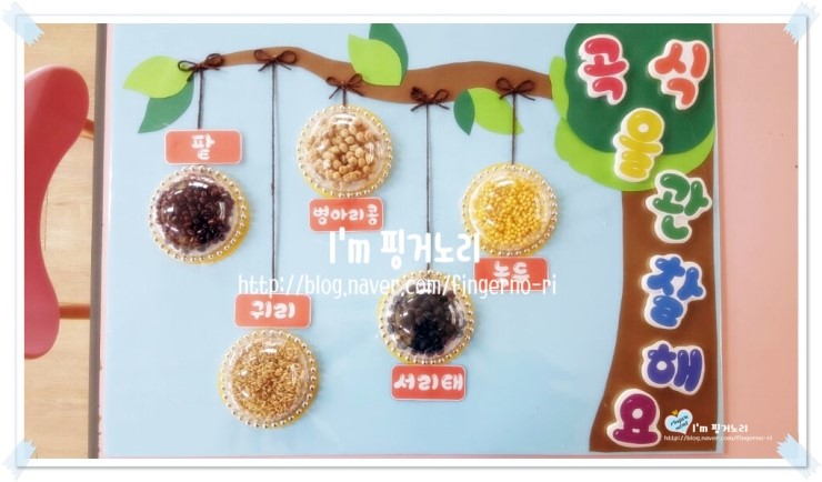 판매중단과학교구 관찰해보아요 곡식을관찰해요자연탐구과학영역 환경구성 평가인증환경구성 네이버 블로그