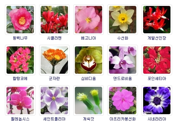 봄 여름 가을 겨울 꽃 이름과 야생화 허브 알아보기 네이버 블로그