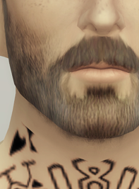 S4 _Beard N4 : 네이버 블로그