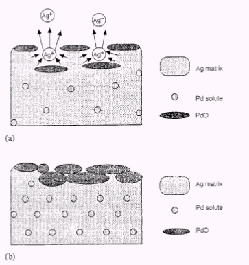 17.1 실버 마이그레이션 (Ag migration) : 네이버 블로그