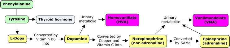 소변 유기산 검사- 기능진단의학(Functional Diagnostic Medicine) : 네이버 블로그