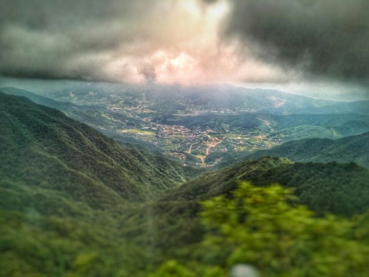 지리산 계곡, 지리산 반달가슴곰 (통제구역) : 네이버 블로그
