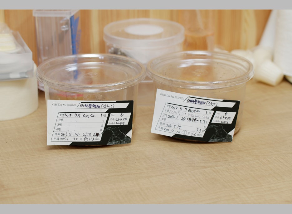 [MK-075] (분양완료) 김천C WF3 애사슴벌레 대형 한페어 분양합니다. (초특가분양) : 네이버 블로그