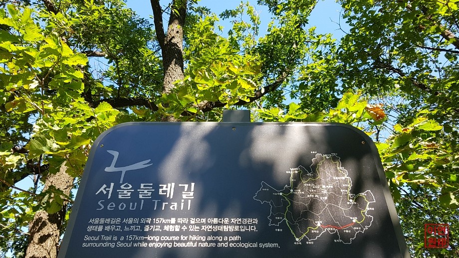 구룡산 서울 구룡산337m 구룡산 등산 구룡산 등산코스 염곡사거리 구룡산서울둘레길 구룡산 등산로