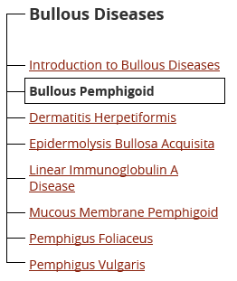 bullous pemphigoid : 네이버 블로그
