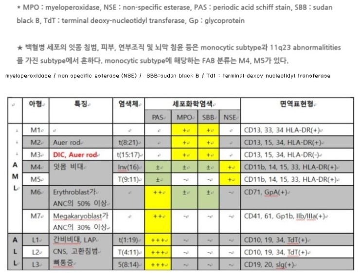 acute myelogenous leukemia (AML) : 네이버 블로그