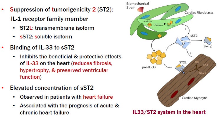 Soluble ST2 (sST2), 새로운 생물학적 심장표지자 : 네이버 블로그