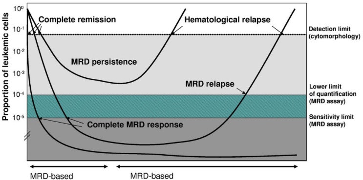 미세잔존질환(minimal residual disease, MRD) 진단검사 : 네이버 블로그