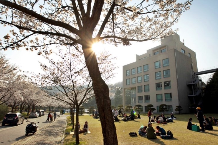 명지대 공대의 진실 명지대 이과 용인 수준 알아보자명지대학교 자연캠용인등급 네이버 블로그