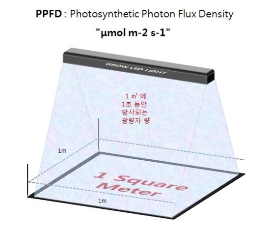 PPFD (광합성 광량자속밀도) : 네이버 블로그