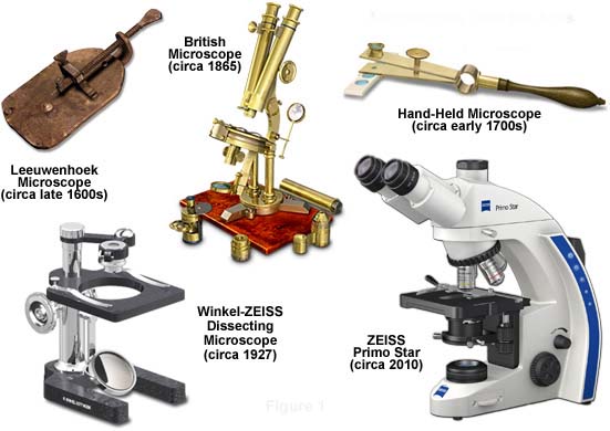 현미경의 역사 (History of Microscopes) : 네이버 블로그