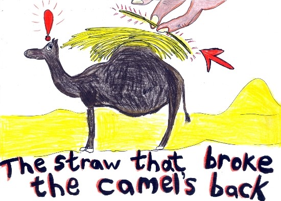 "The straw that broke the camel's back" : 네이버 블로그