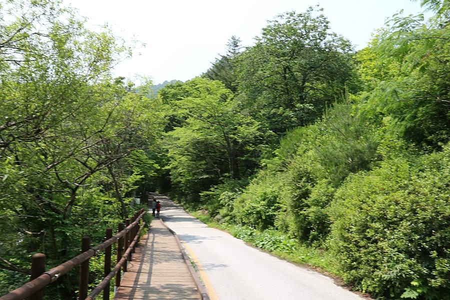 지리산 뱀사골⇒와운마을 천년송까지(해발 712m)^^* : 네이버 블로그