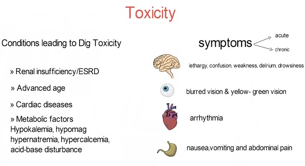 digoxin / digitalis intoxication (디지탈리스 중독) : 네이버 블로그