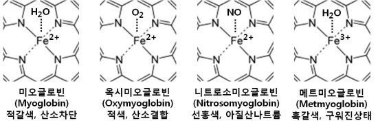 아질산나트륨과 니트로소미오글로빈 : 네이버 블로그