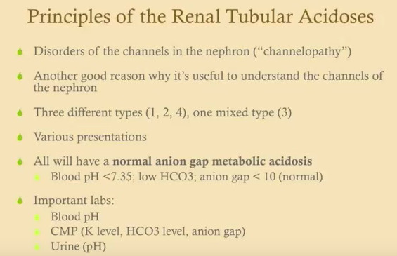 renal tubular acidosis (RTA, 신세뇨관 산증) : 네이버 블로그