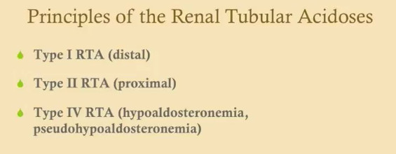 renal tubular acidosis (RTA, 신세뇨관 산증) : 네이버 블로그