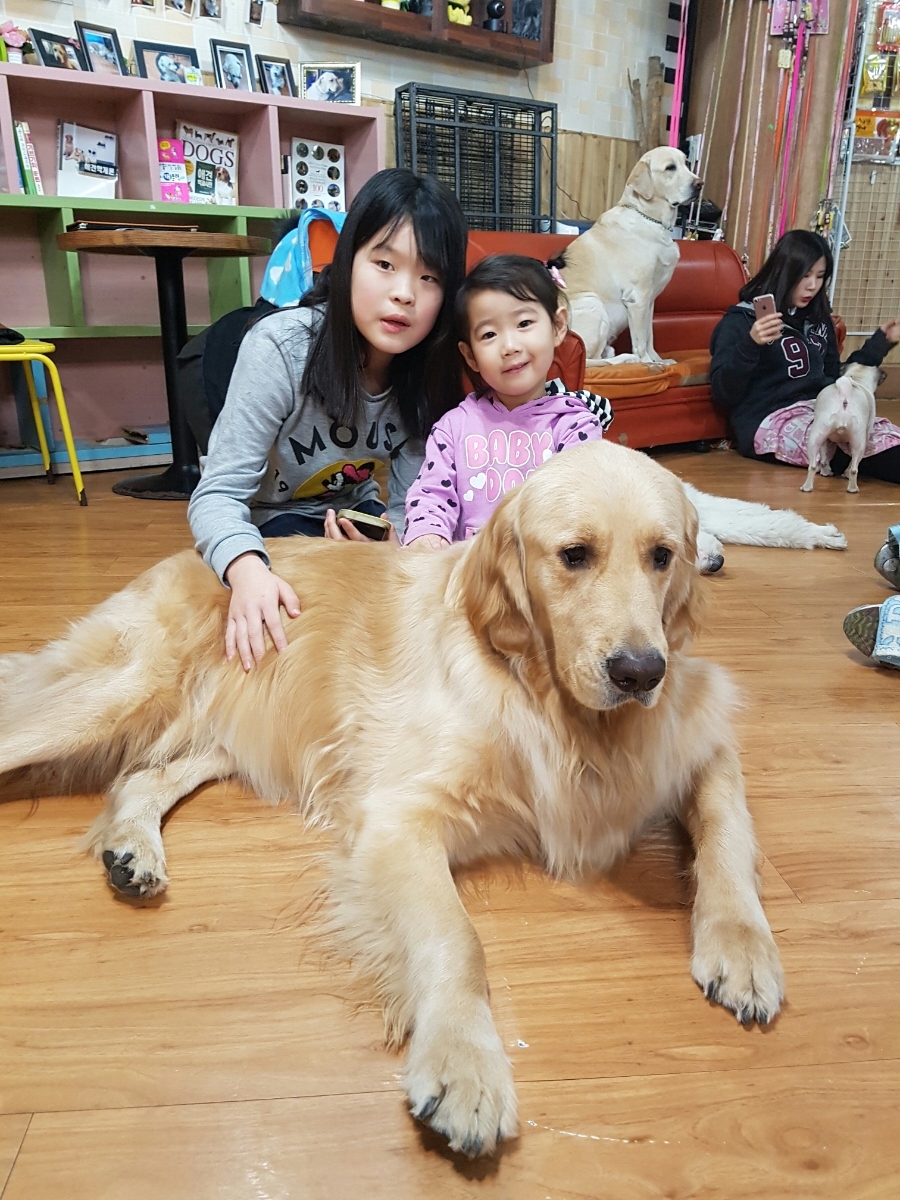 애견카페 처음 간날 : 네이버 블로그
