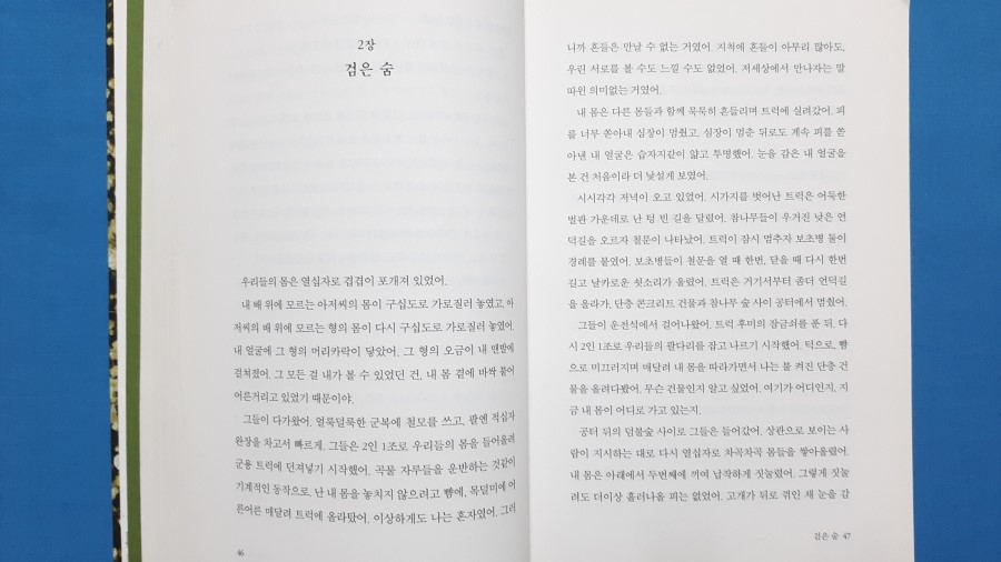 소년이 온다 한강 소년이 온다 줄거리 창비 네이버 블로그
