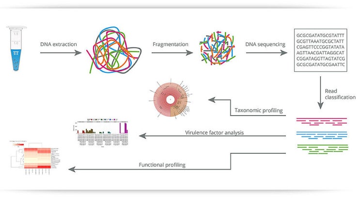 메타지놈(metagenome), 메타지노믹스(metagenomics) : 네이버 블로그