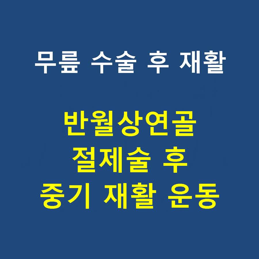 무릎 반월상연골 절제술 후 중기 재활 운동 청주 무릎재활 네이버 블로그