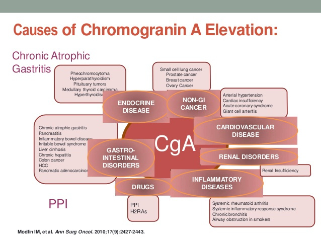 크로모그라닌A (chromogranin A, CgA) 검사방법과 임상적 활용 : 네이버 블로그