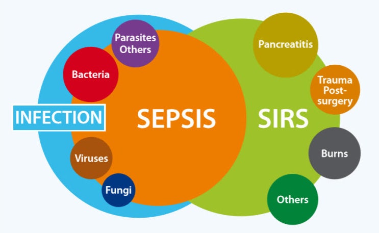 프레셉신(Presepsin, sCD14-ST) 검사적 특성과 임상적 의의 : 네이버 블로그