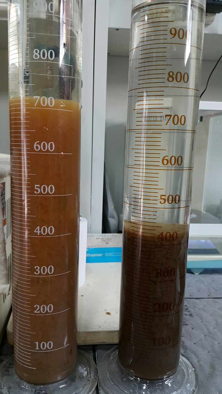 침강성, SV30, 포기조 색깔 : 네이버 블로그