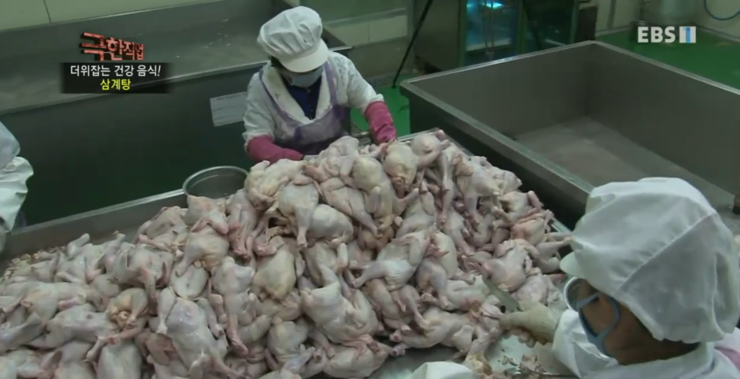 EBS1 극한직업 : 네이버 블로그