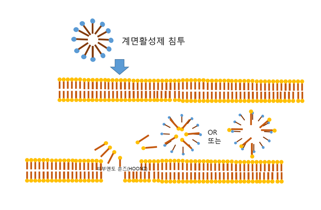 계면활성제가 피부장벽을 무너트리는 원리 네이버 블로그