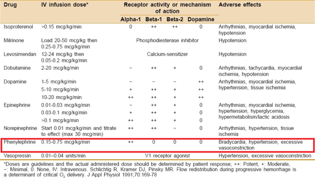 페닐에프린 Phenylephrine 네이버 블로그