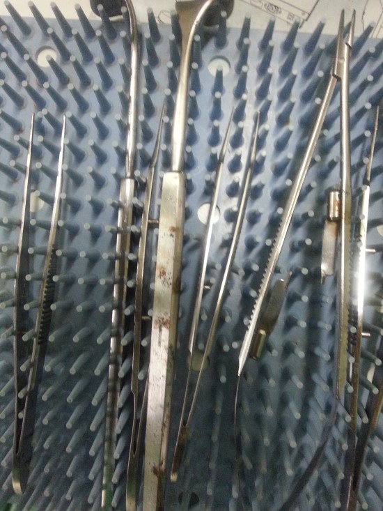 사용한 오염기구(감염기구) 재 처리 어떻게해야 할까요? : 네이버 블로그