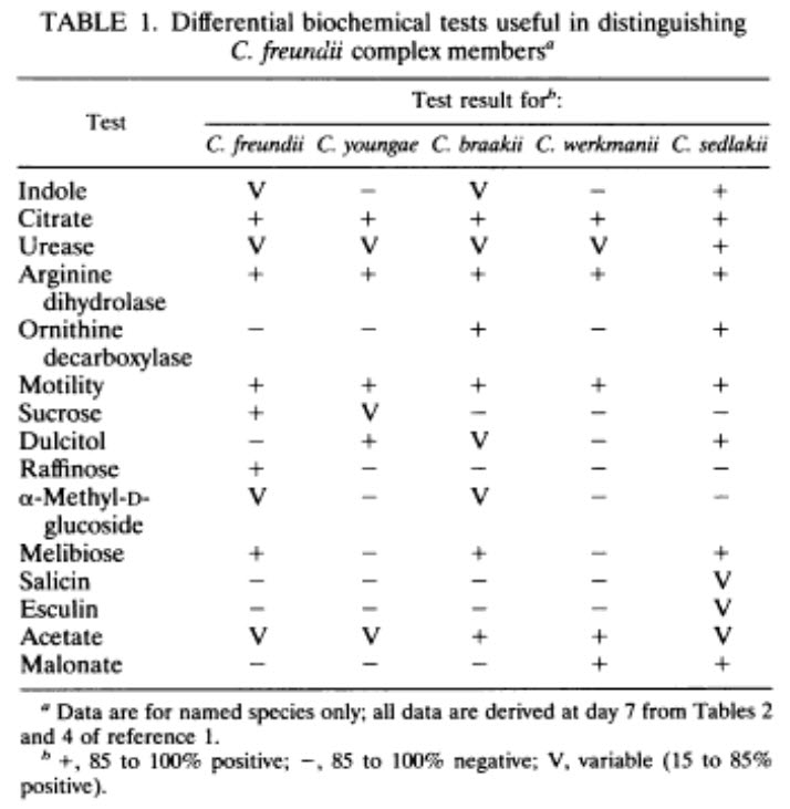 장내세균, 시트로박터 프룬디균(Citrobacter freundii)의 성상 : 네이버 블로그