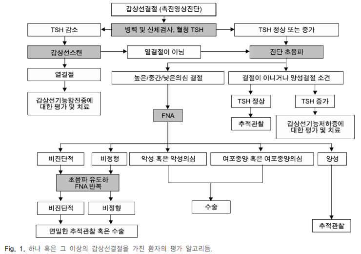 FM-검진) 갑상선결절 K-TIRADS 2021 (update) & 수술, 수술 후 평가 : 네이버 블로그