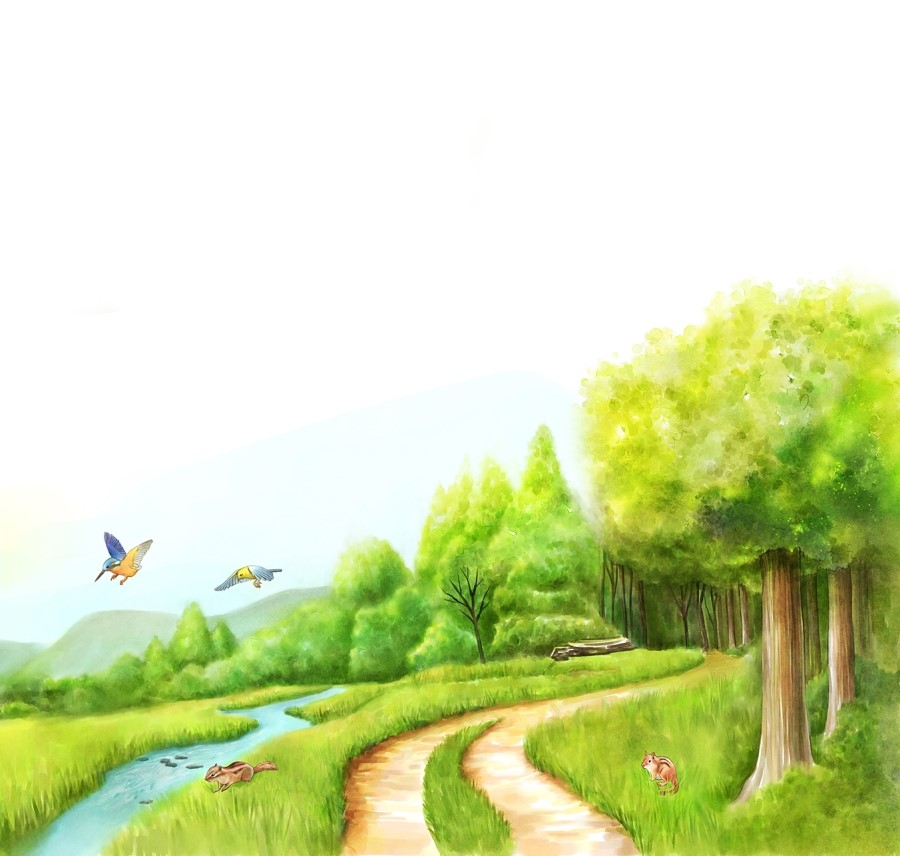 Ybm중등음악교과서삽화 일러스트 5점바람의 빛깔 오페라의 유령 산새가아침을 몽금포타령 숲속풍경 네이버 블로그