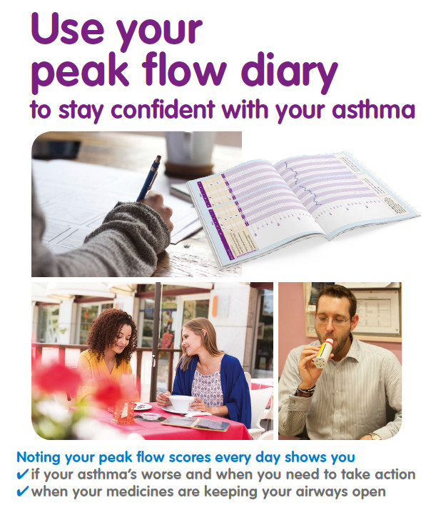 peak flow diary - asthma management : 네이버 블로그